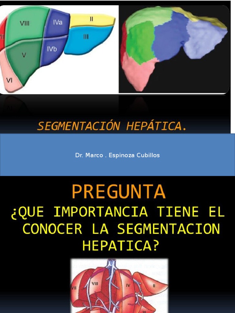 Segmentacion Hepatica | PDF