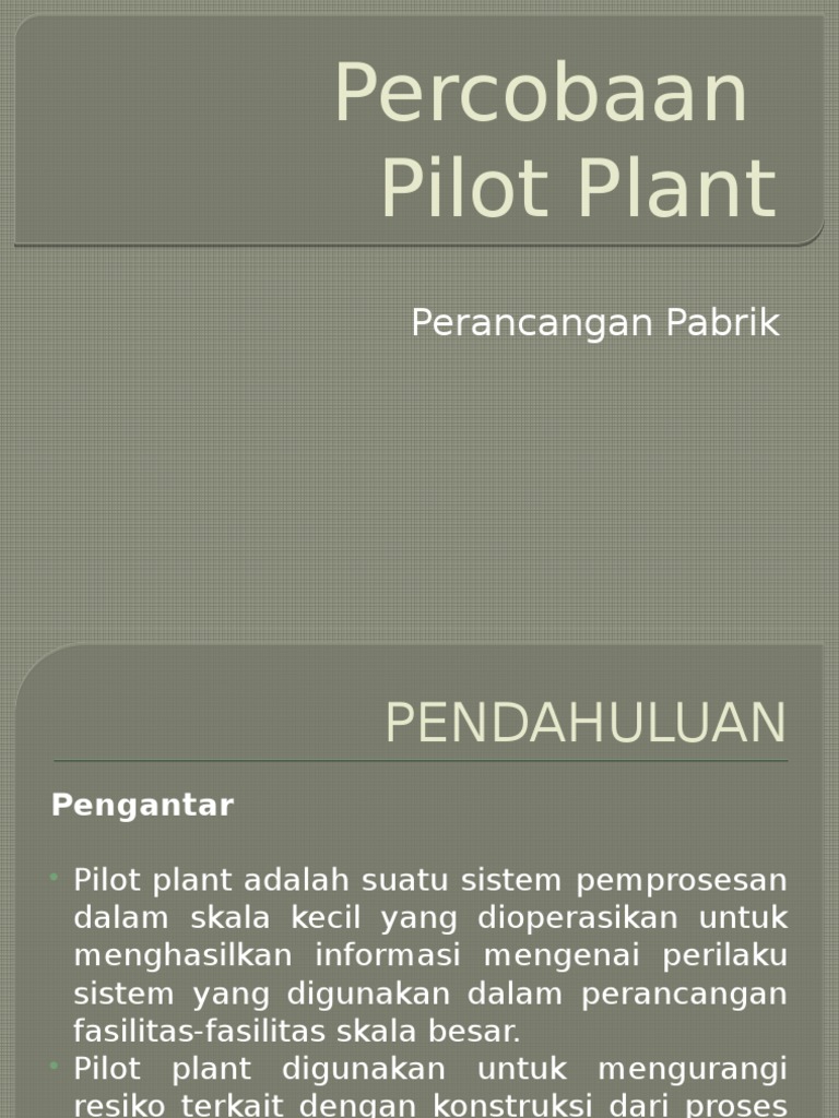 TM 5 Perancangan Pabrik PILOT PLAN | PDF