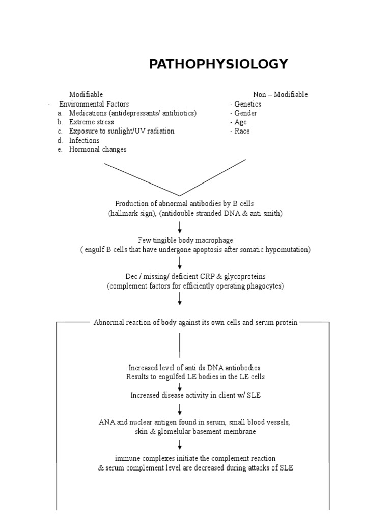 SLE Pathophysiology | PDF | Complement System | Systemic Lupus ...