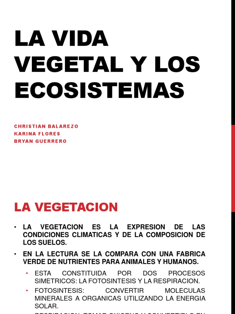 La Vida Vegetal y Los Ecosistemas Presentacion | PDF | Ecosistema | Selva