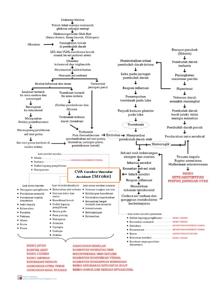 Understanding the Basics of Stroke: Causes, Symptoms, and Treatments of ...
