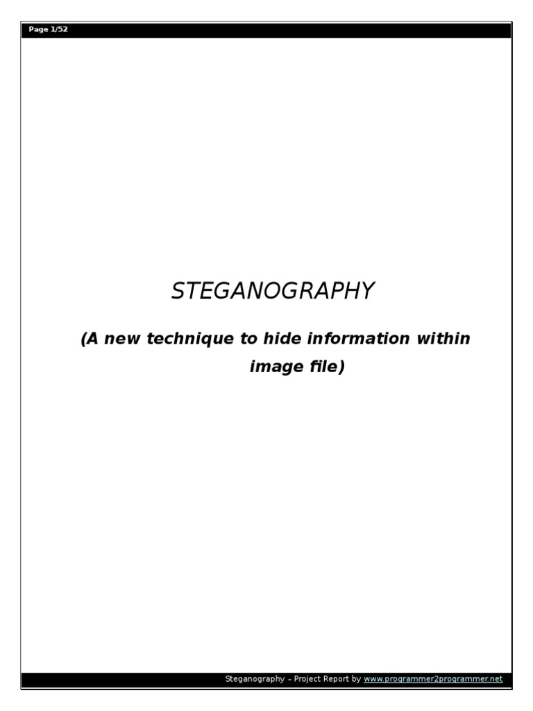 Steganography ProjectReport | PDF | Areas Of Computer Science | Computing