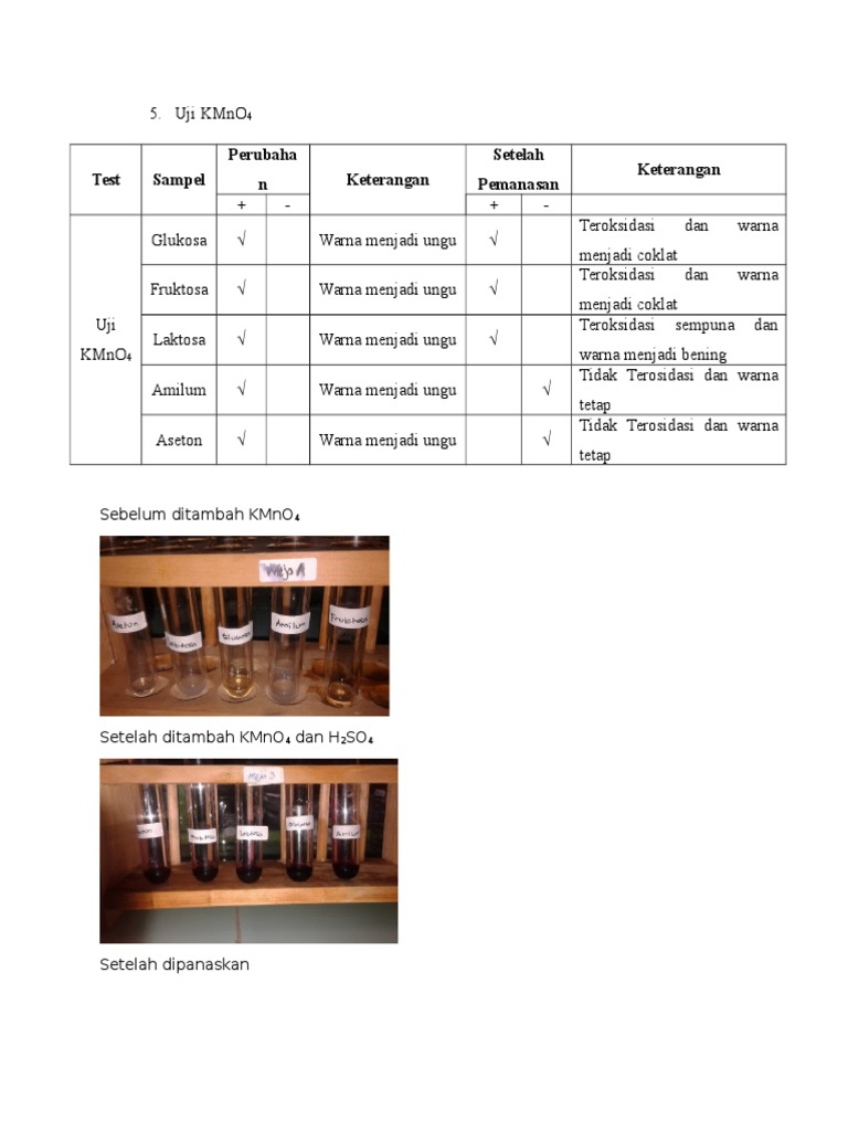 Uji KMnO4 | PDF