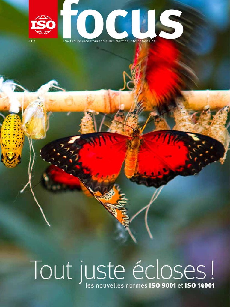 ISO Focus - 113 | PDF | Management de la qualité | Organisation ...