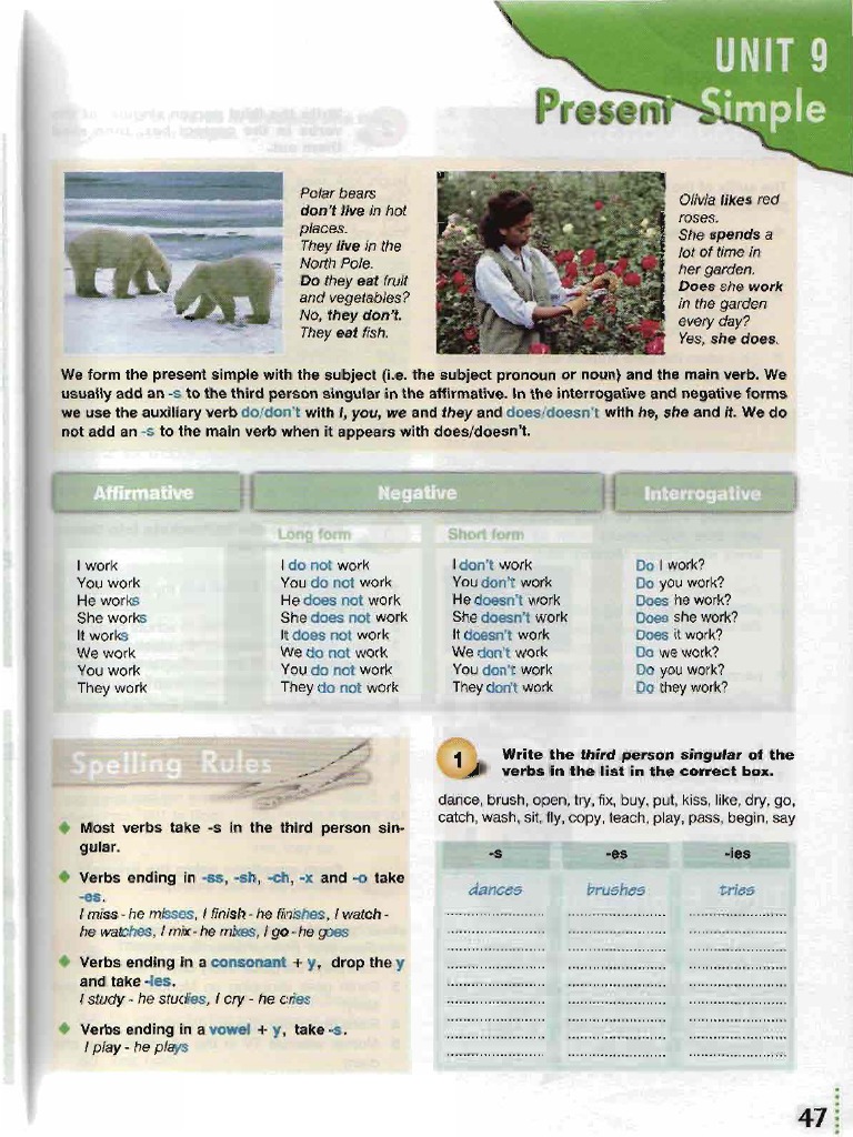 Present Simple PDF | PDF