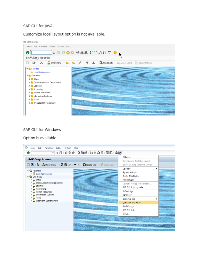 Sap Gui For Java Customize Local Layout Option Is Not Available Pdf 6221