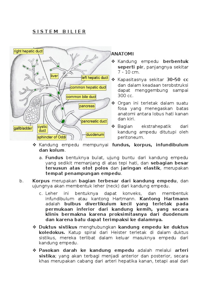 Sistem Bilier | PDF