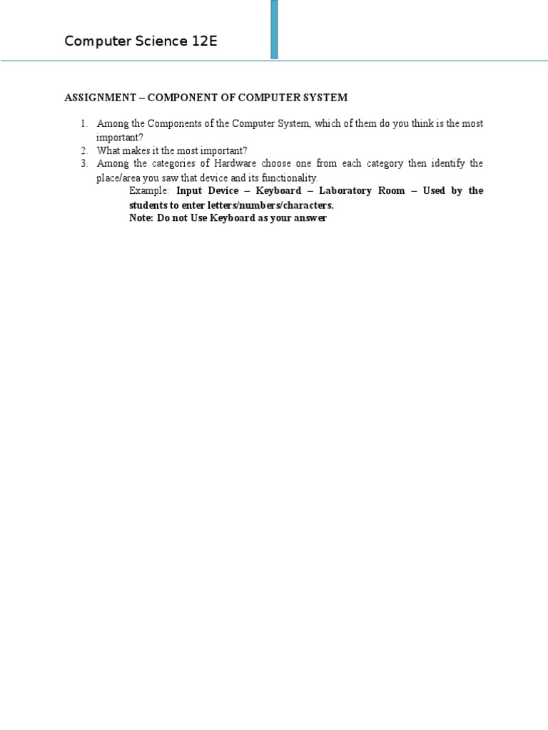 ASSIGNMENT-Component of Computer System | PDF