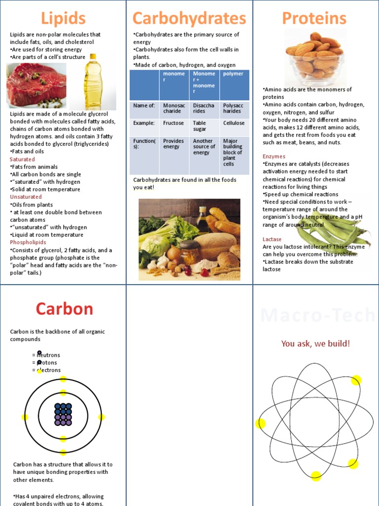 Macro Tech Brochure | PDF | Fat | Fatty Acid