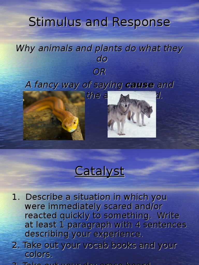 Stimulus and Response (Introduction) | Instinct | Stimulus (Physiology)