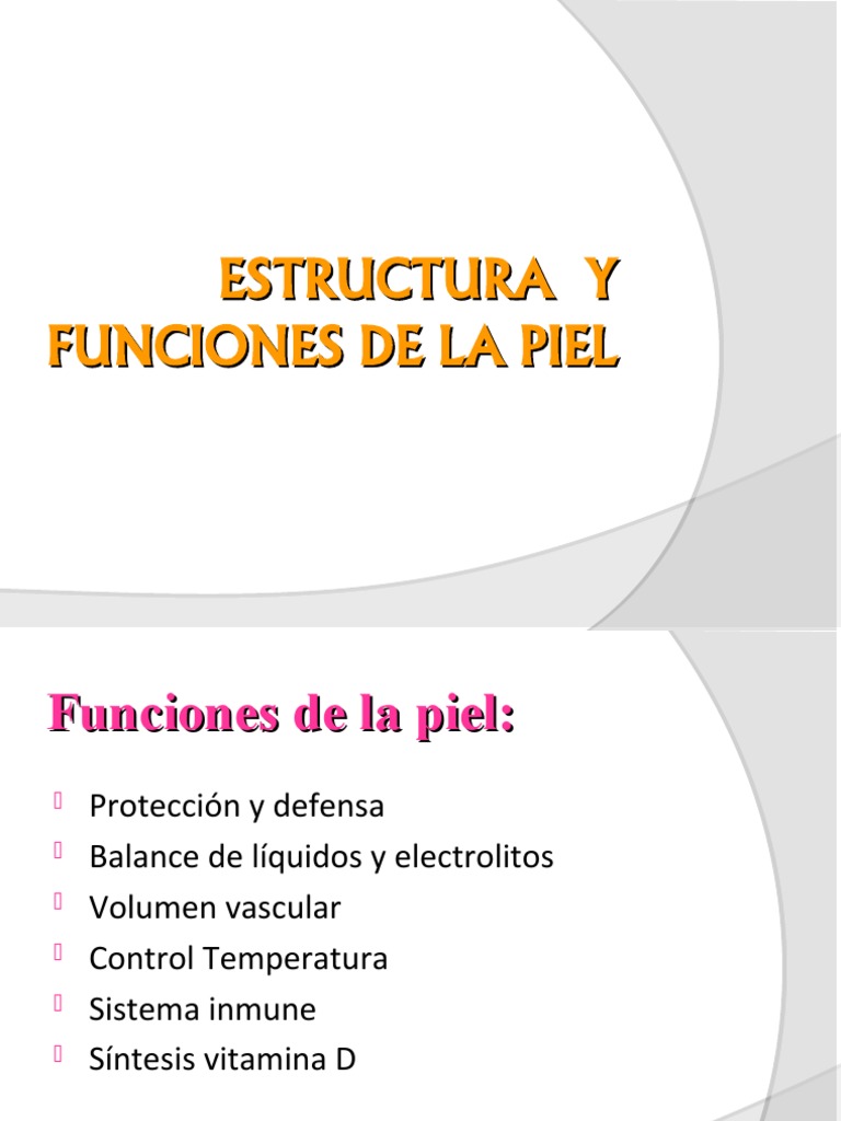 Estructura y Funciones de La Piel | PDF | Piel | Cabeza y cuello humanos