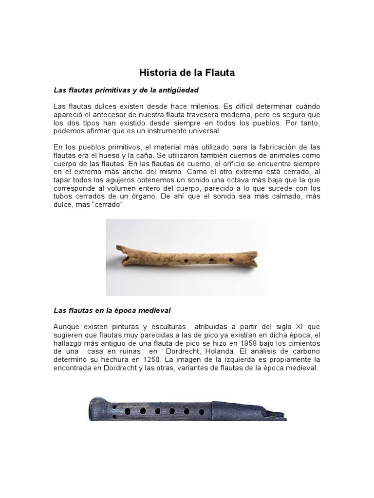 Historia de La Flauta | PDF | Flauta | Grabadora (instrumento musical)