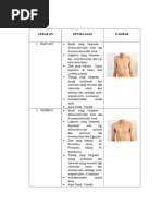 Tabel Ringkasan Origo, Insersio, Inervasi Dan Aksi Otot Manusia - Dr. S.H. R. Ticoalu | PDF