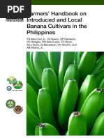 Ube Production Guide | PDF | Mulch | Fertilizer