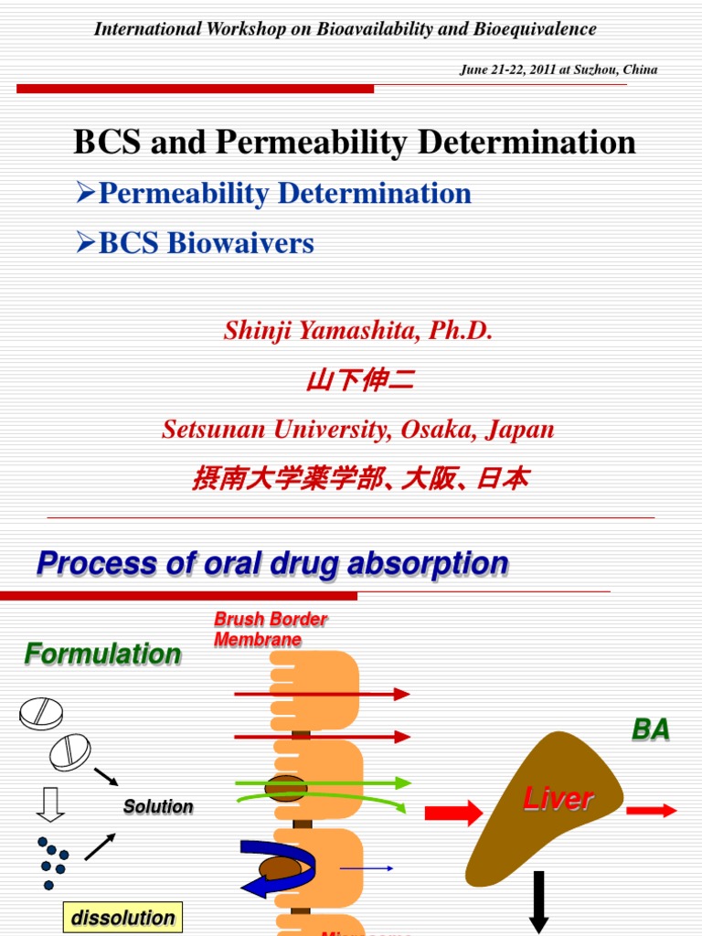 BCS and Permeability Determination | PDF | Bioavailability | Tablet ...