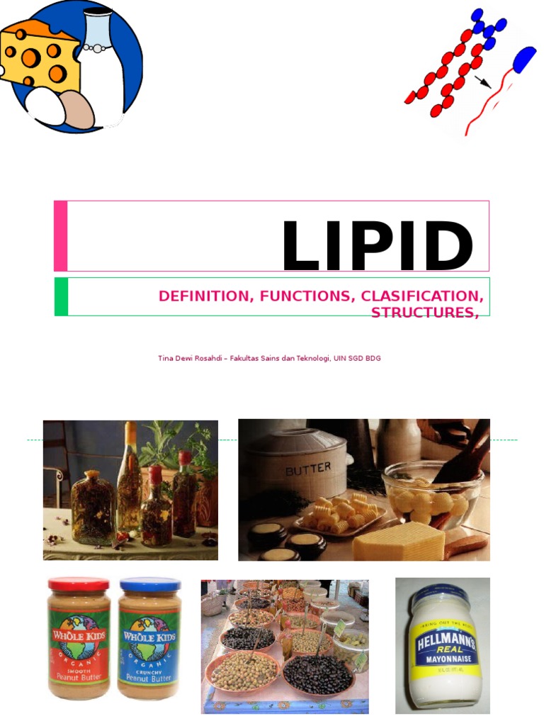 Klasifikasi dan Fungsi Lipid dalam Biologi | PDF | Kesehatan Holistik