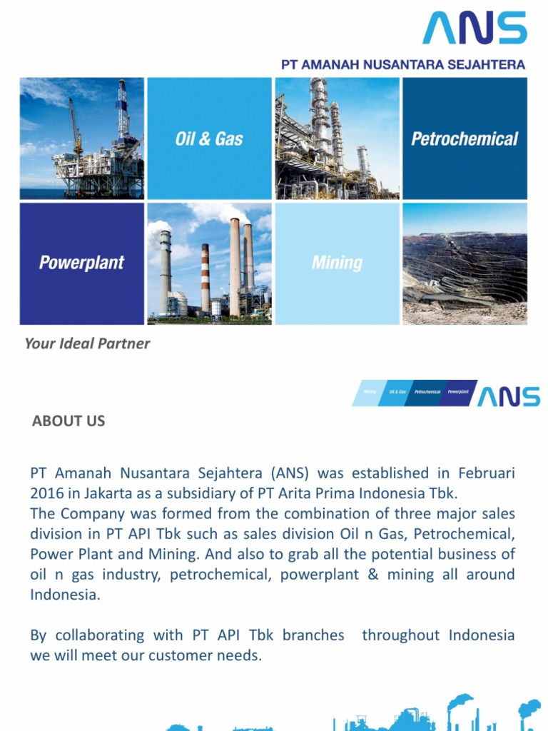 ANS Company Profile | PDF | Gas Technologies | Chemical Engineering