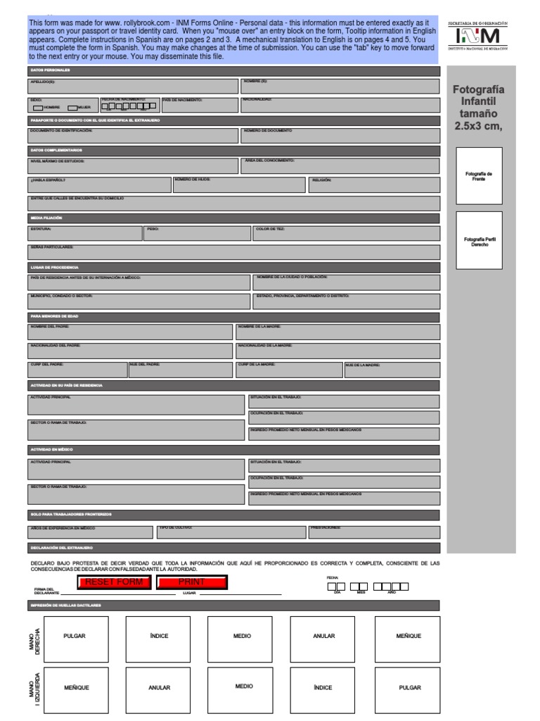 Formato-Basico INM - Instrucciones | México | Sector terciario de la ...