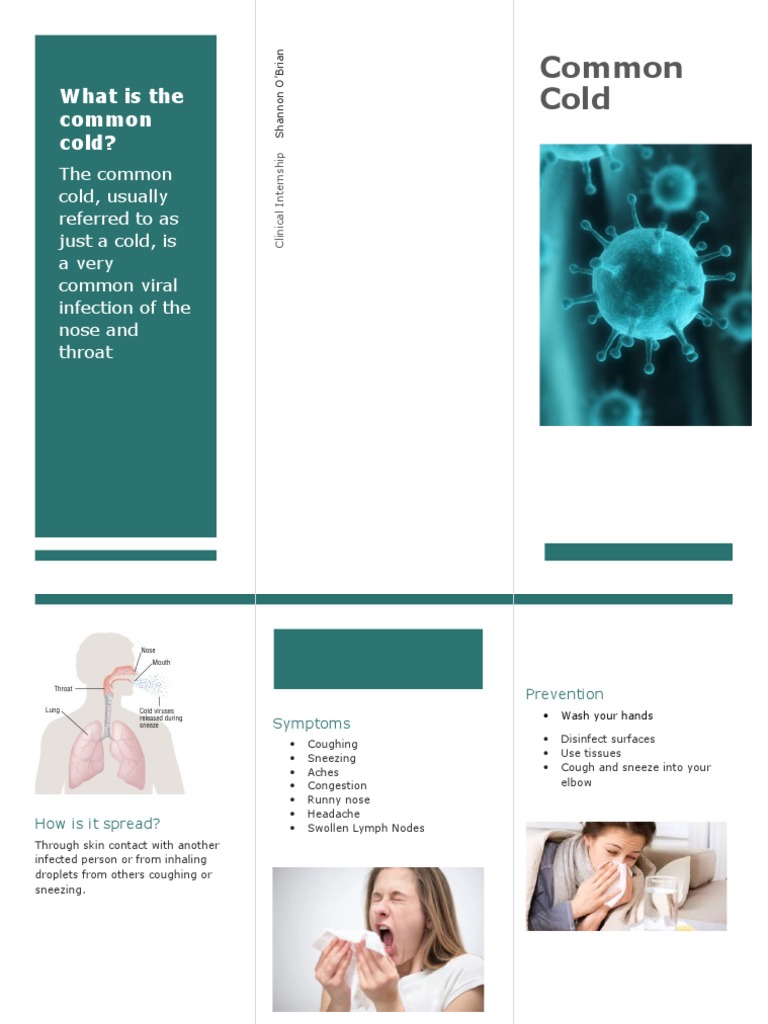 Common Cold | PDF