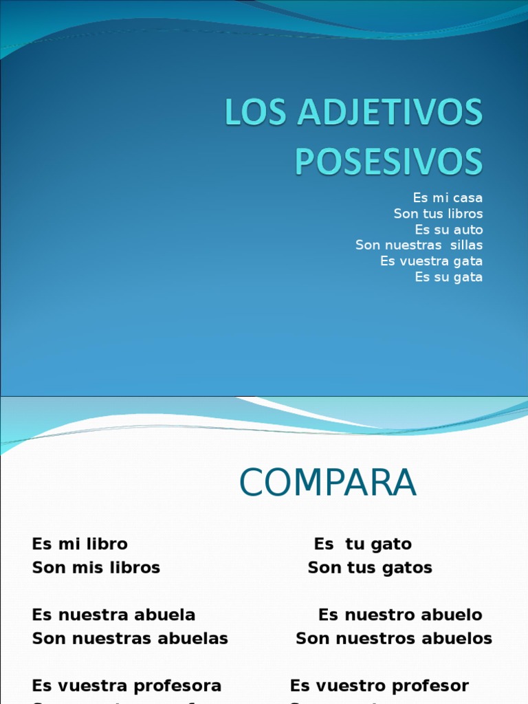 Adjetivos Posesivos | PDF | Estudios de idiomas extranjeros