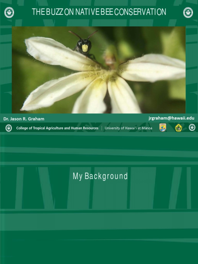 Buzz On Native Bee Conservation | PDF | Bees | Nest