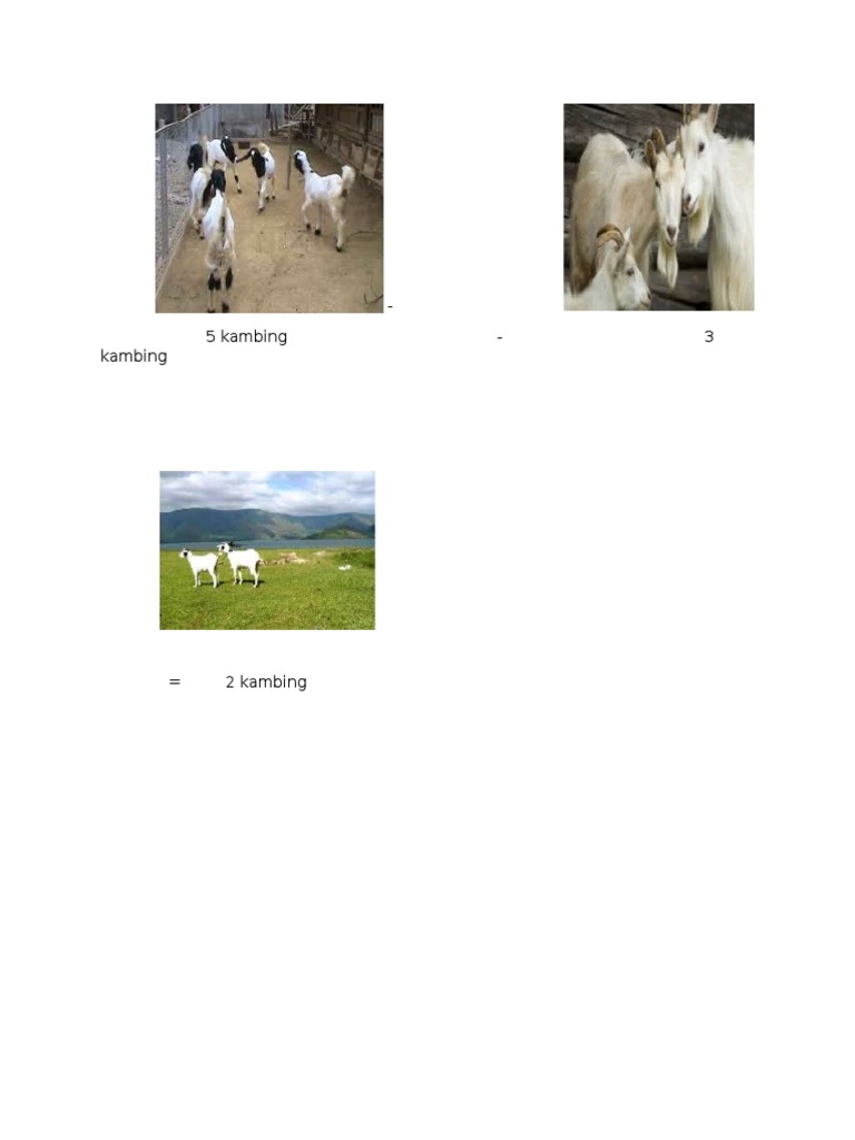 5 Kambing | PDF