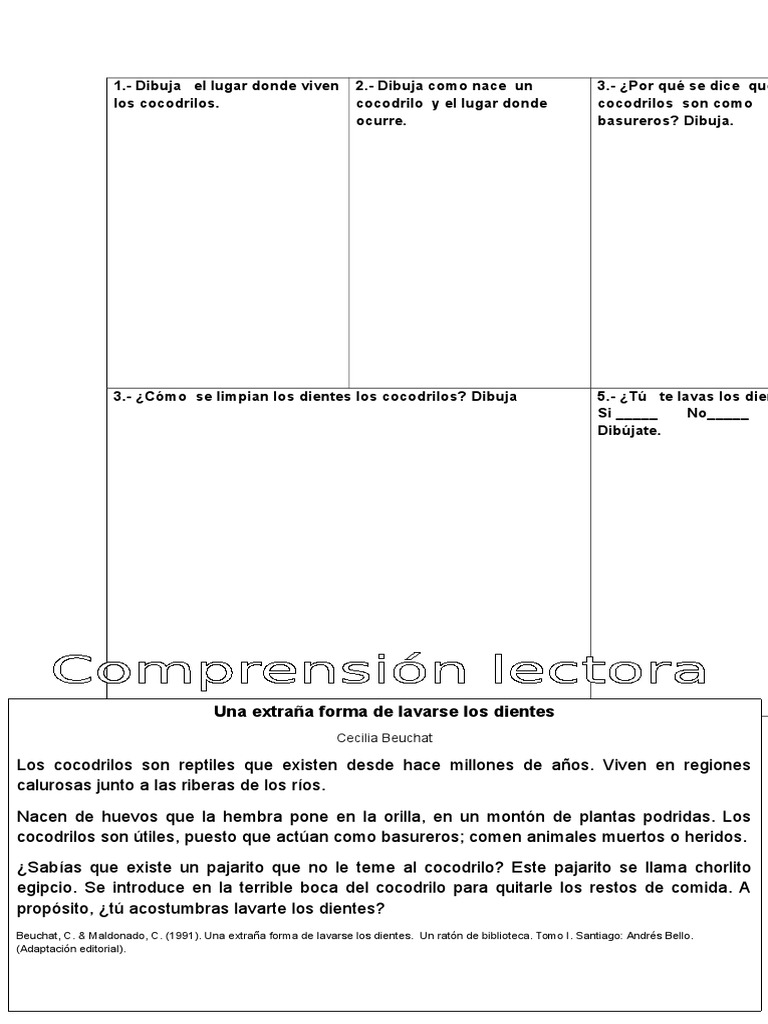 Comprension Lectora, El Cocodrilo | PDF | Cocodrilos | Organismos