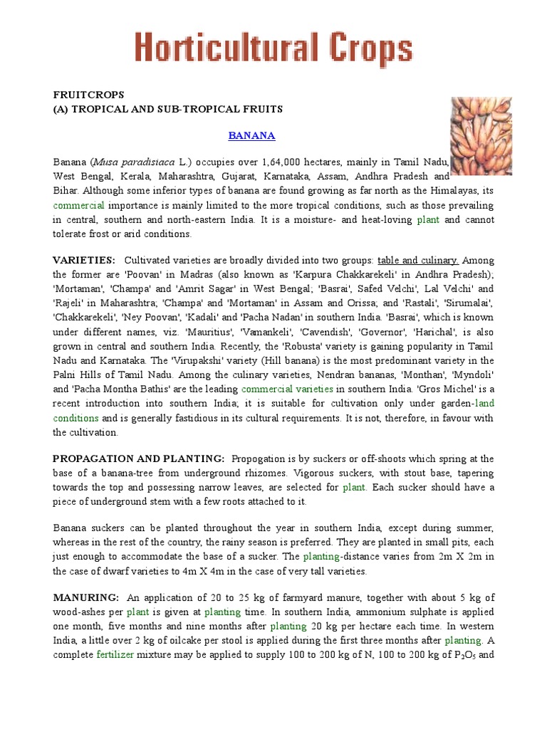 Horticultural Crops | PDF | Orange (Fruit) | Citrus