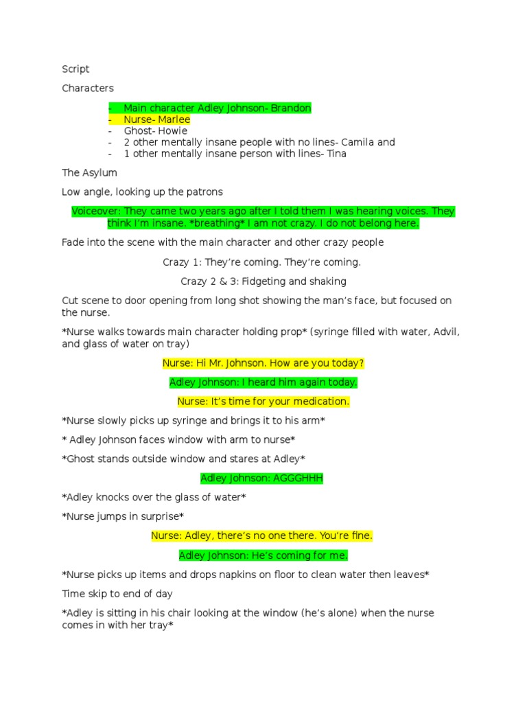 Script For The Asylum | PDF