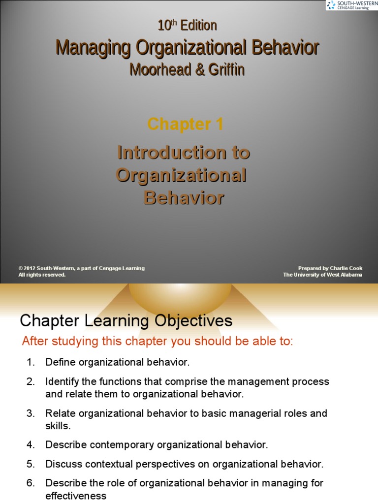 Chapter 1 - Introduction To OB | PDF | Organizational Behavior | System