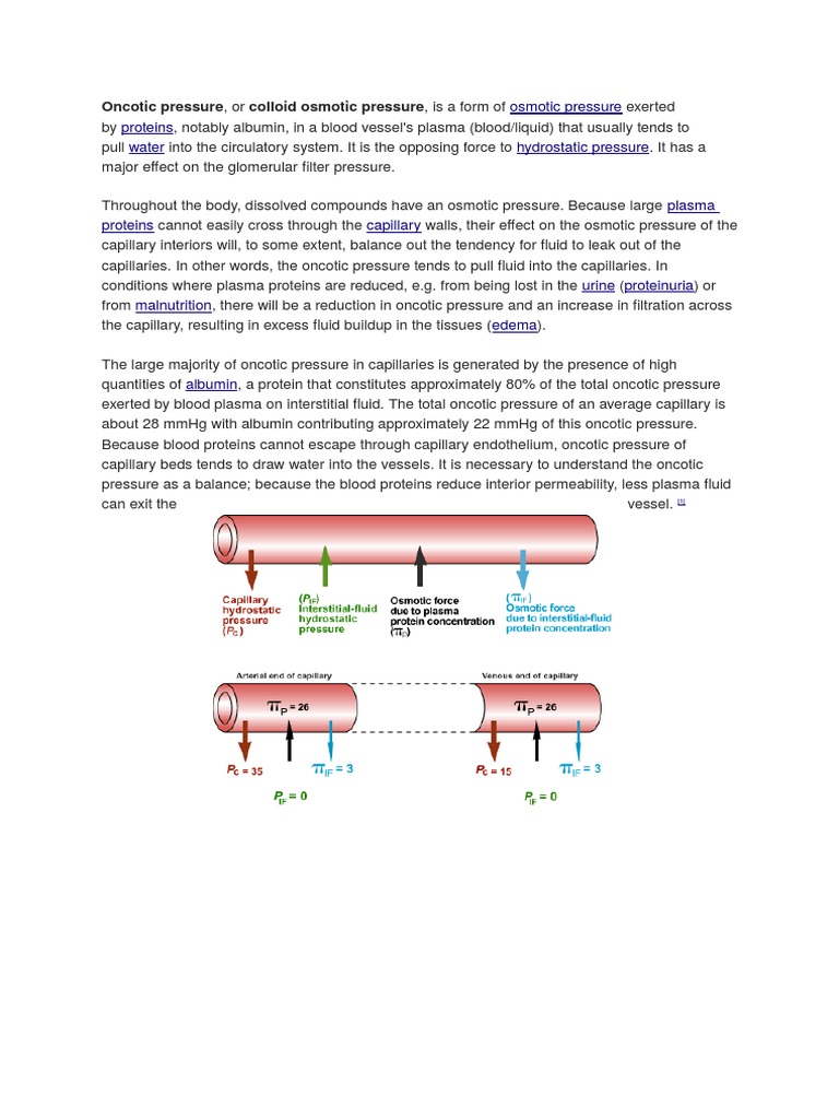 Oncotic Pressure, or Colloid Osmotic Pressure, Is A Form of | PDF ...