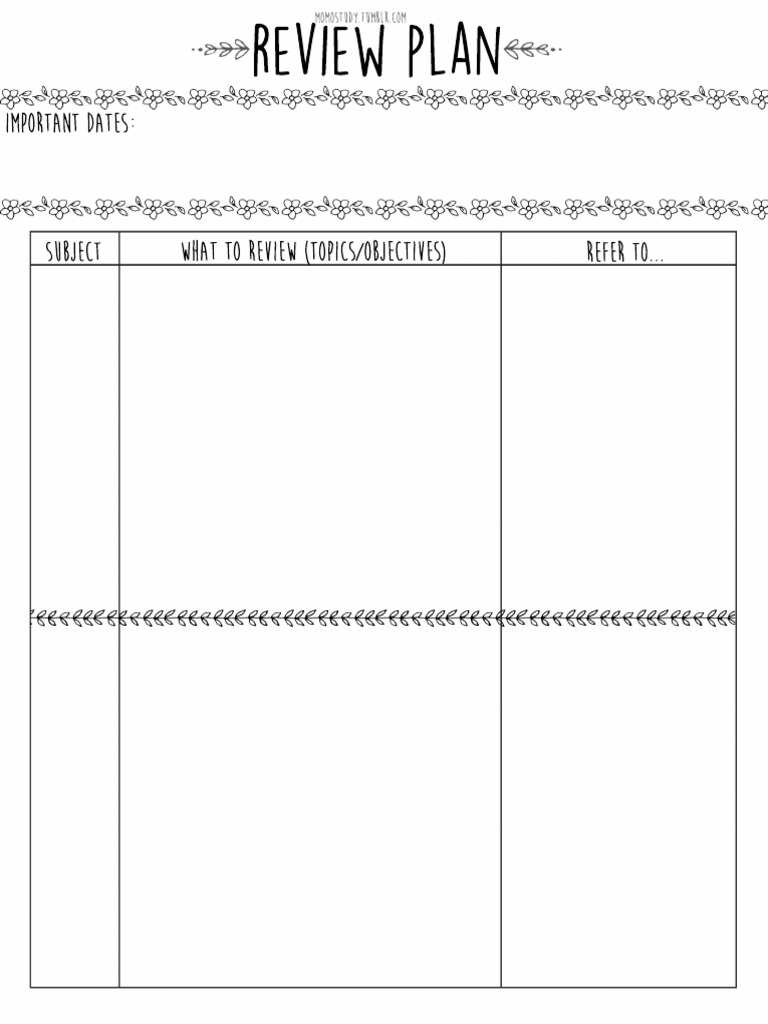 Review Plan | PDF