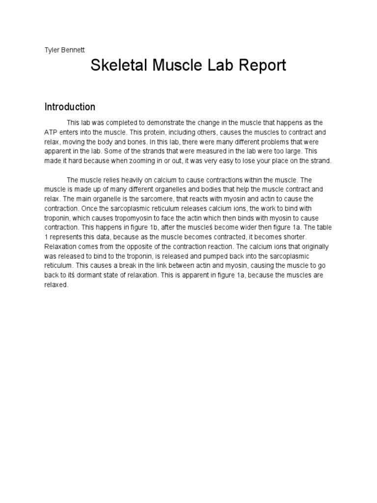 Skeletal Muscle Lab Report | PDF | Muscle Contraction | Histology