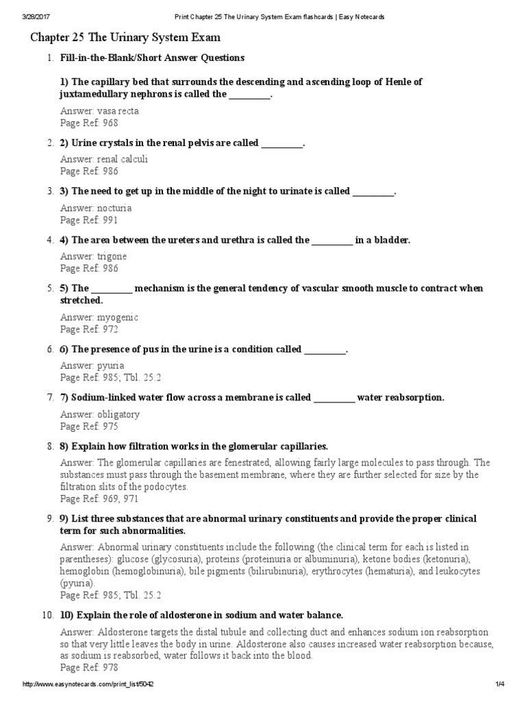 Print Chapter 25 The Urinary System Exam Flashcards - Easy Notecards ...