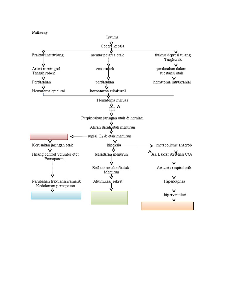 Pathway SDH | PDF