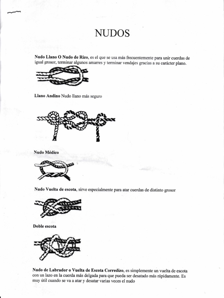 Nudos Básicos | PDF