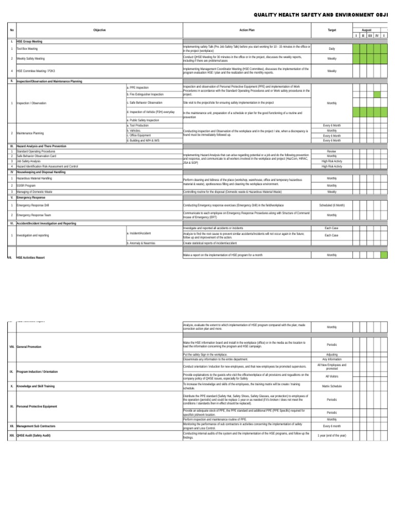 HSE Objective & Plan Databased | PDF