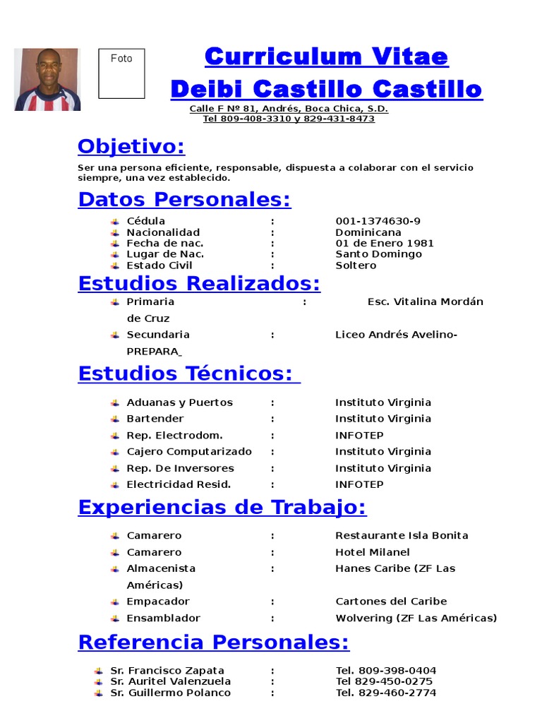 Curriculum Vitae de Deibi Castillo | PDF