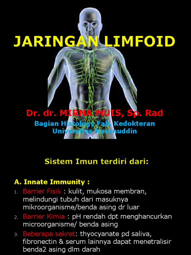 Fungsi dan Struktur Organ Limfoid | PDF