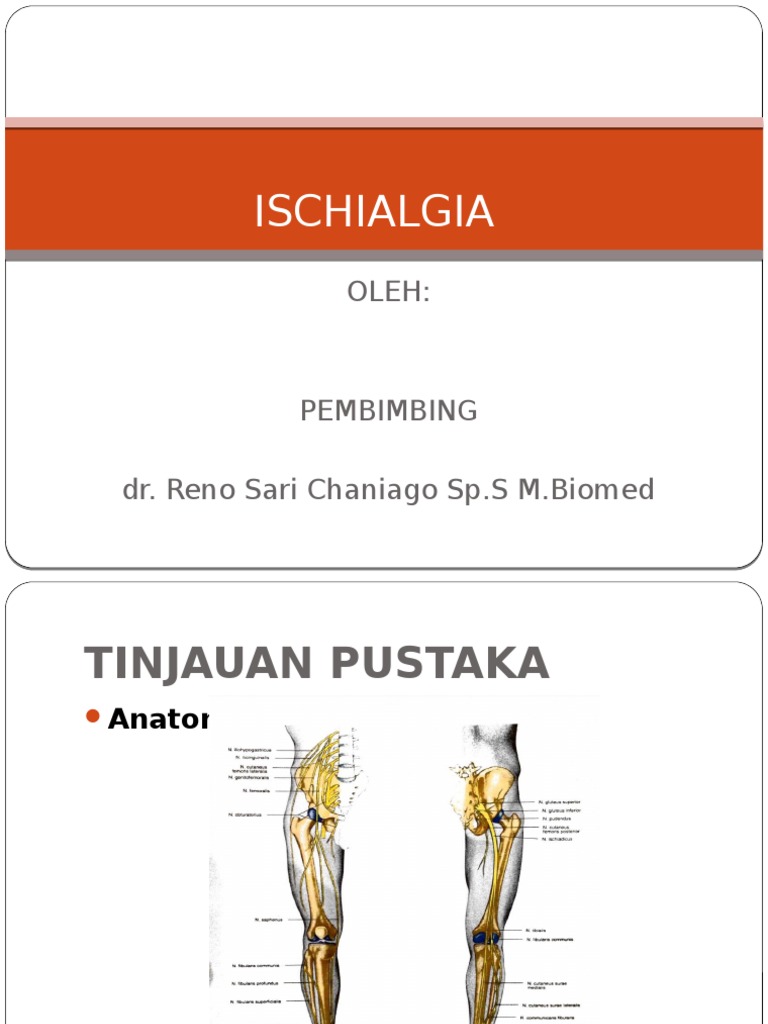 Neuro Ischialgia | PDF