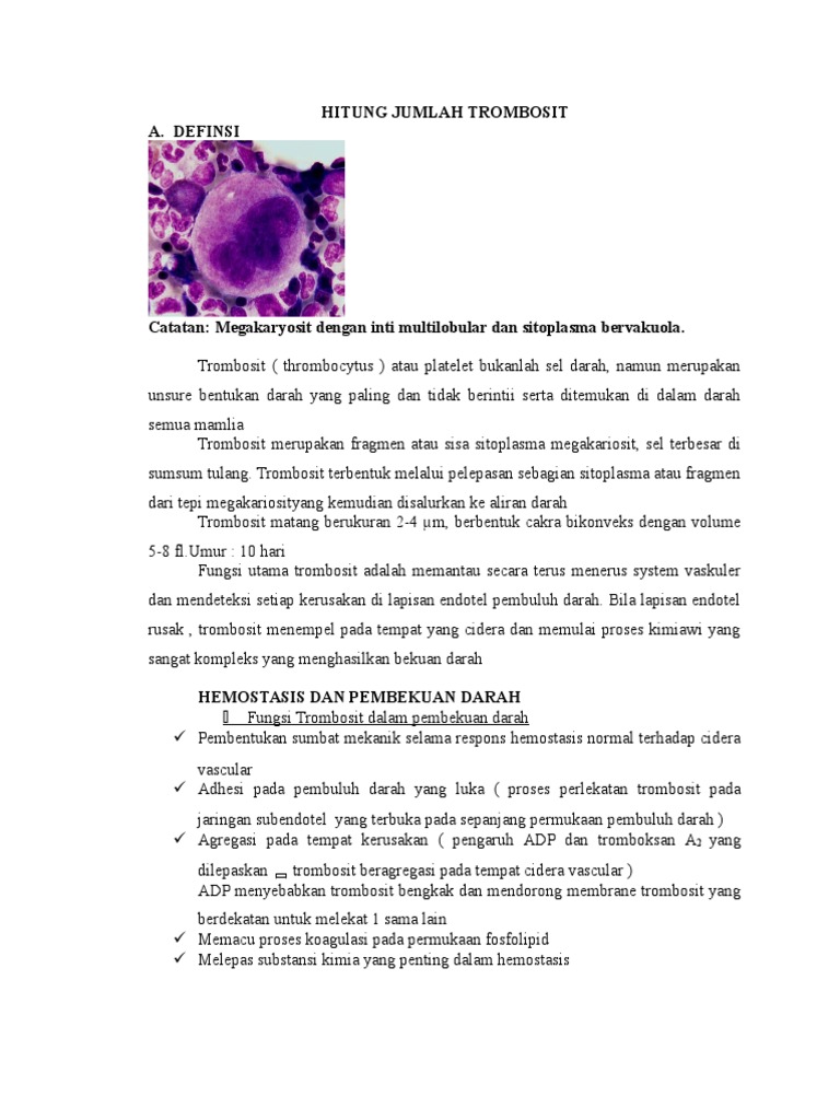 Hitung Jumlah Trombosit | PDF | Sains & Matematika