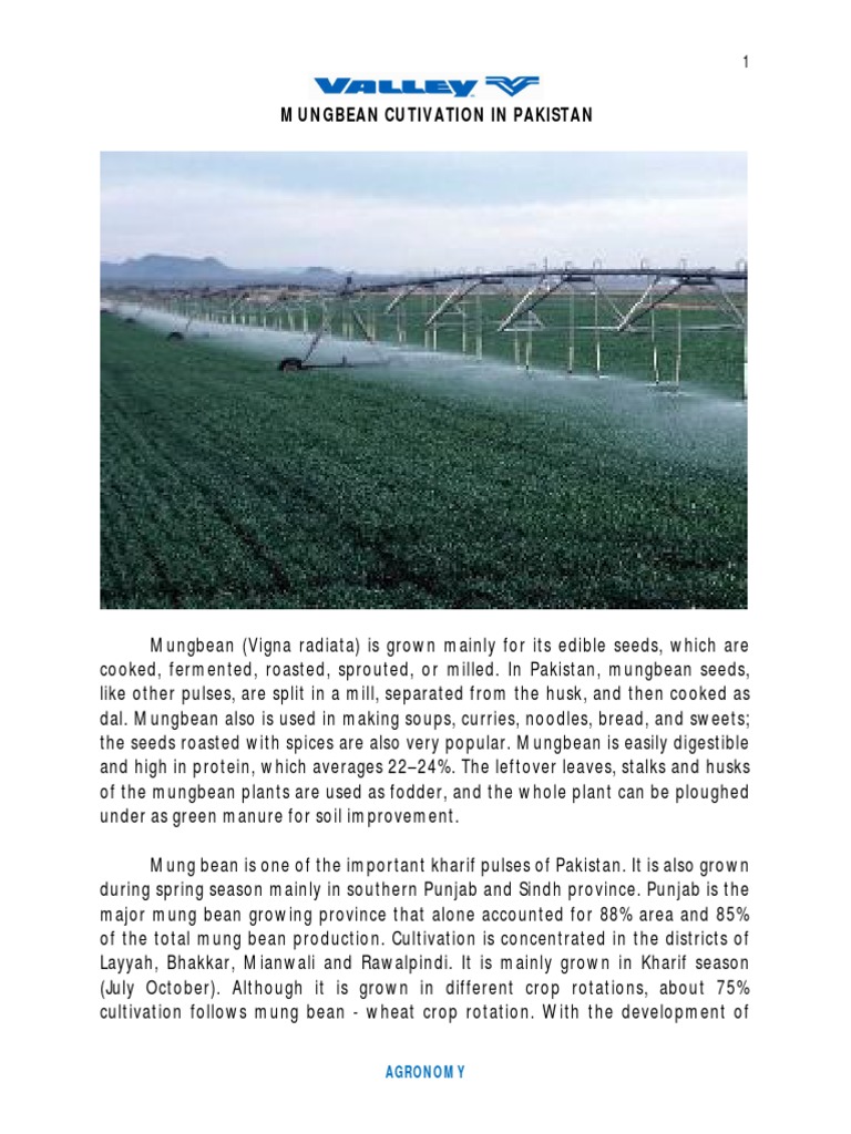 Mung Bean Cultivation in Pakistan | PDF | Sowing | Legume