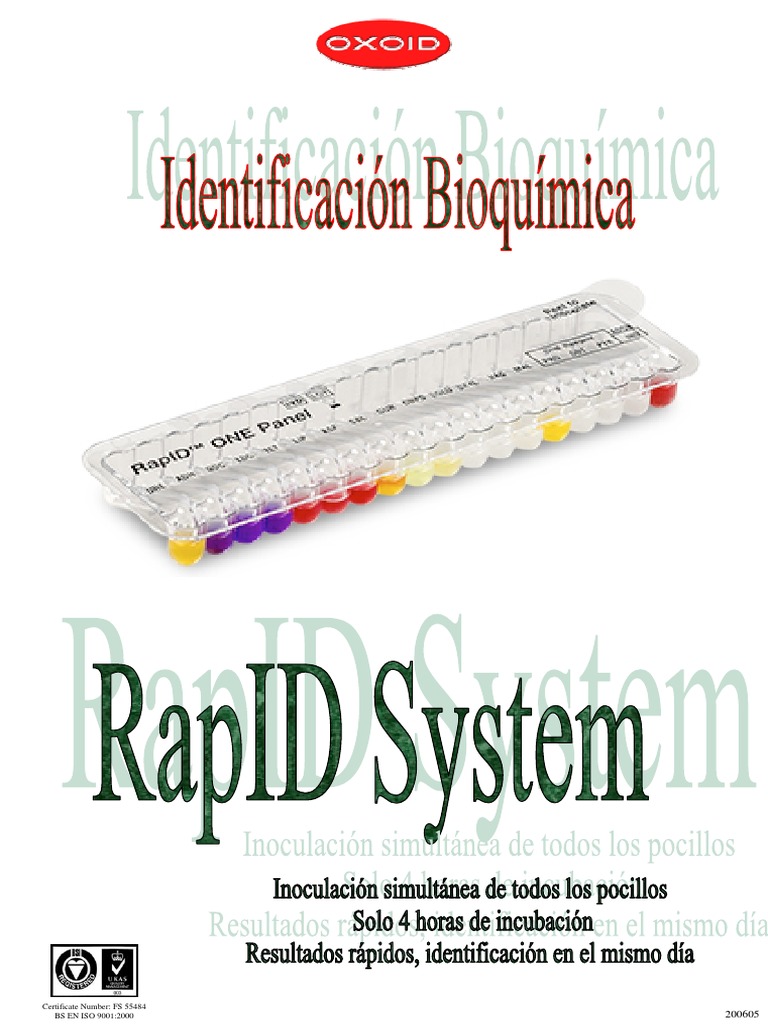 r8311006 Rapid One System Oxoid | Amarillo | Color
