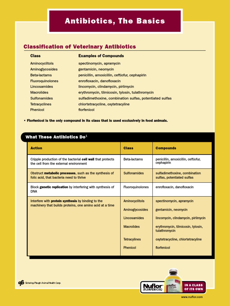 Antibiotics, The Basics: Classification of Veterinary Antibiotics ...