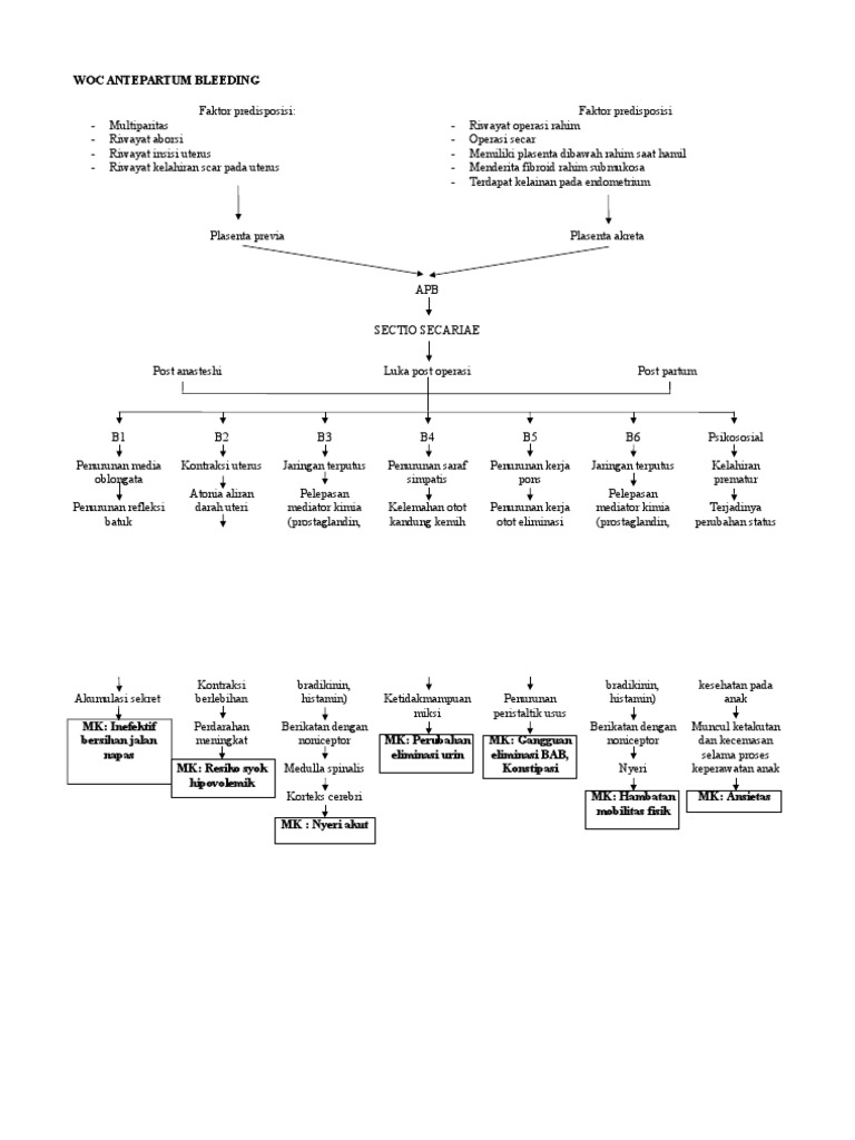 Woc Antepartum Bleeding | PDF