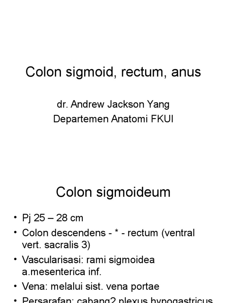 Colon Sigmoid, Rectum, Anus | PDF