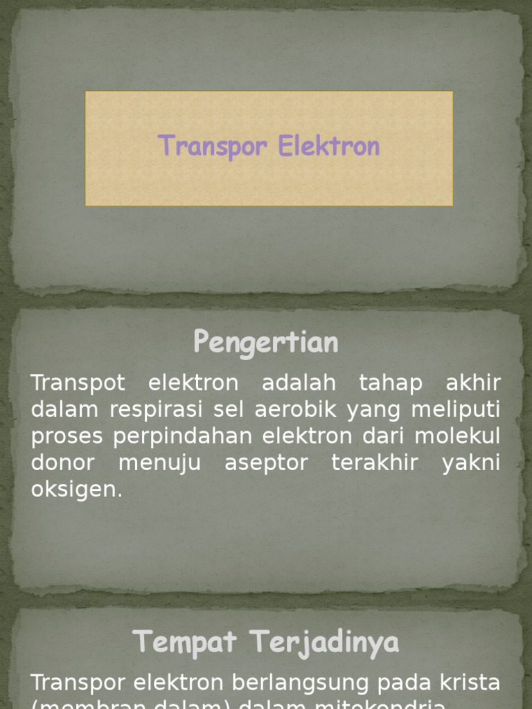 Transfer Elektron | PDF