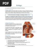 Histologia de Cardias Estomago y Piloro 1 | PDF | Membrana mucosa ...