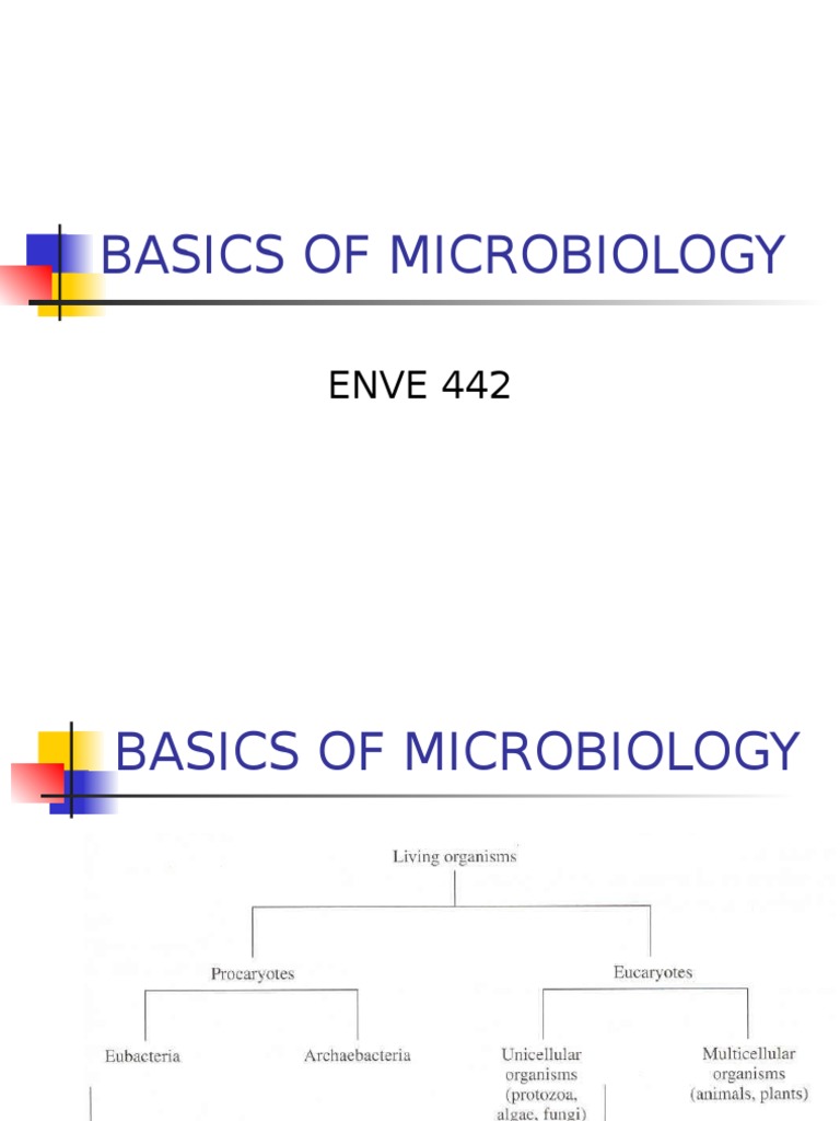 Basics of Microbiology | PDF