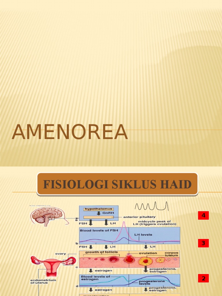 Slide Amenore | PDF